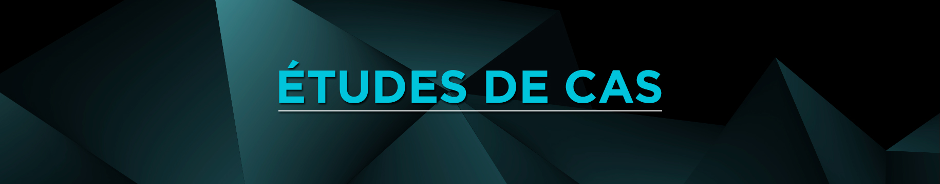 Études de cas - Groupe Roux-Jourfier